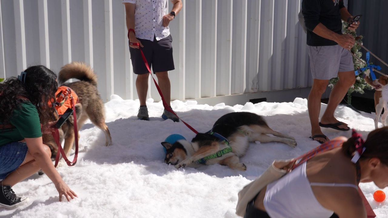 Watch Live - Spectrum Sports & Spectrum OC16