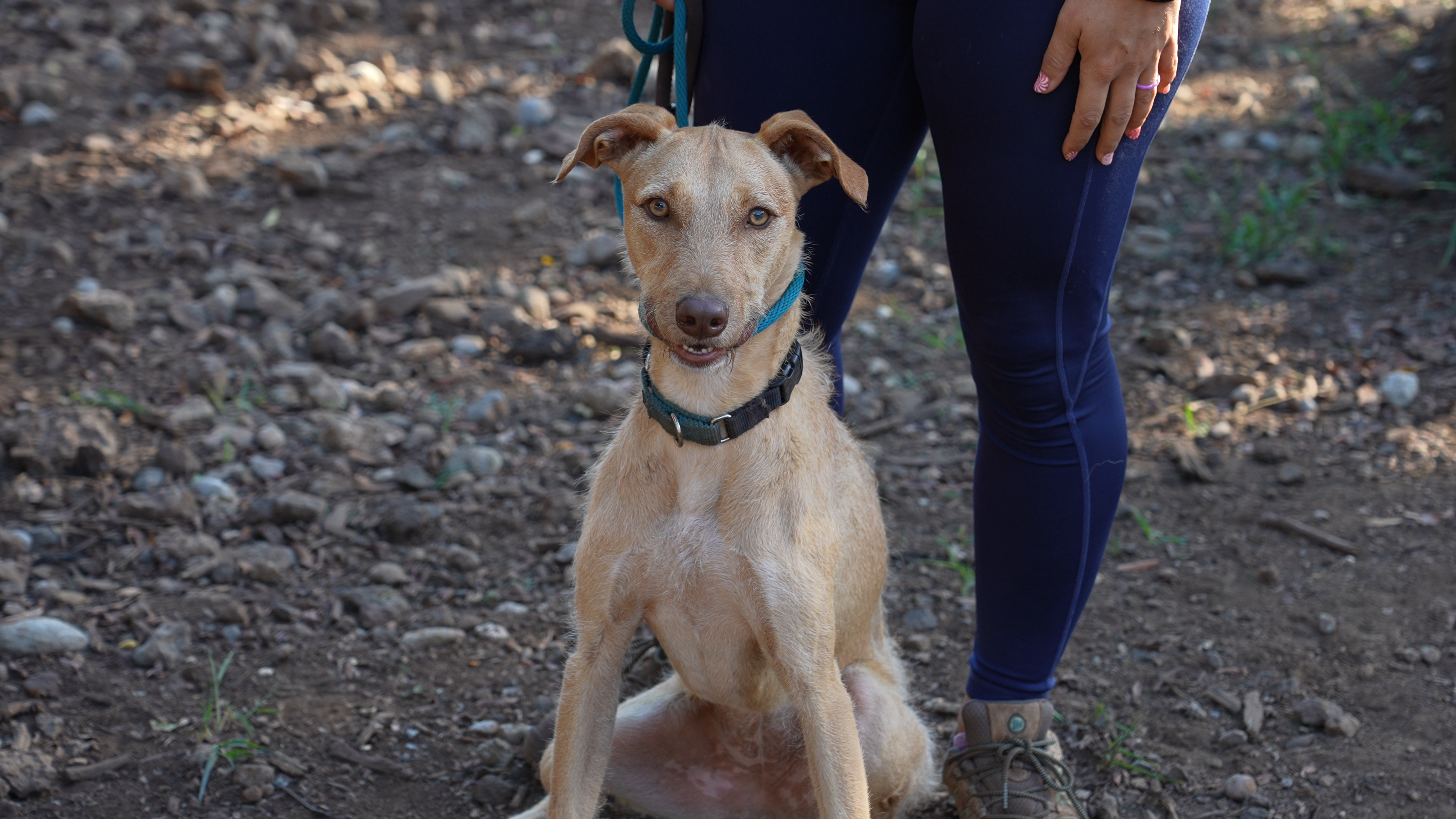 Watch Live - Spectrum Sports & Spectrum OC16